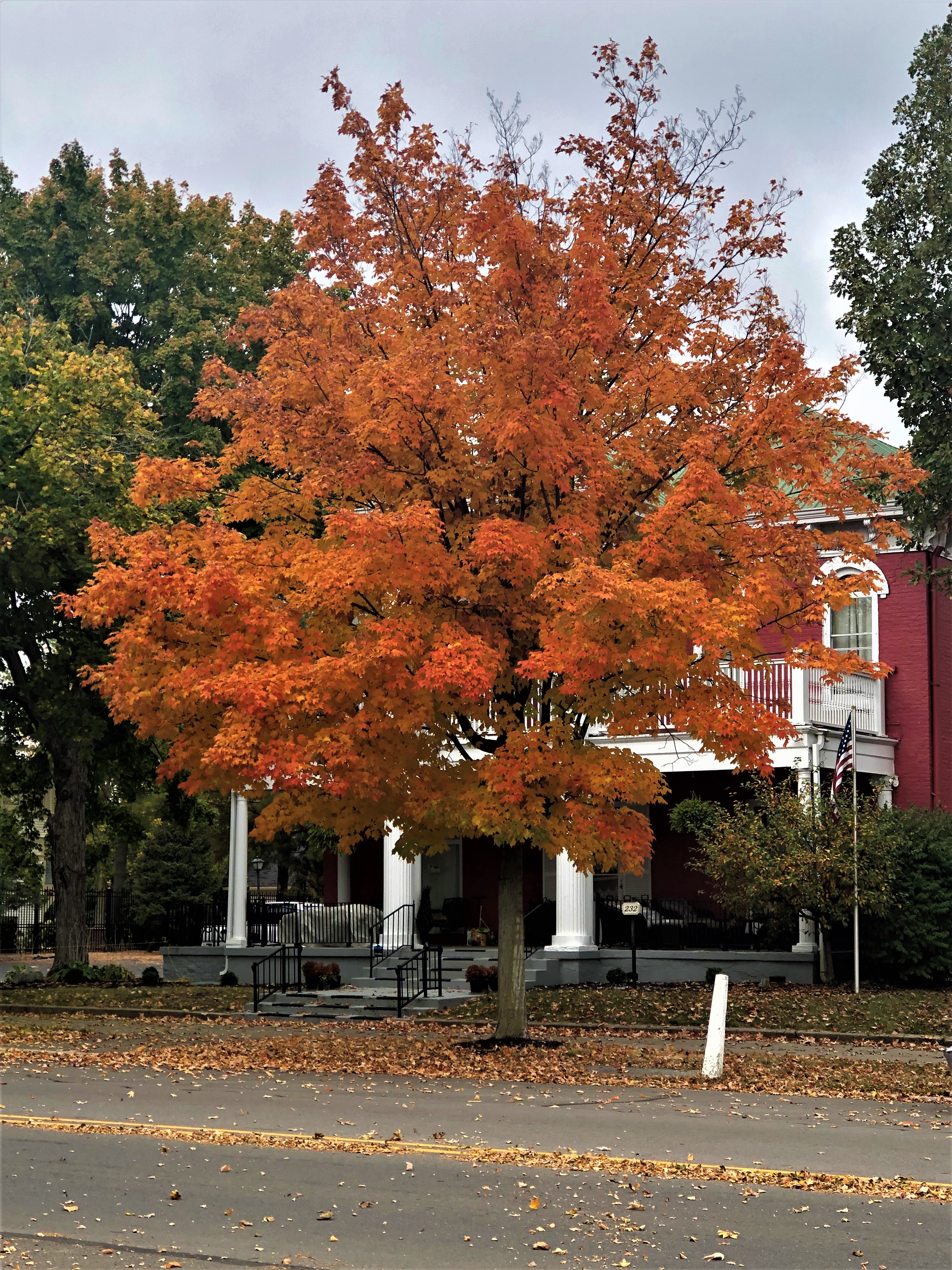 The colors of fall | Roadtirement