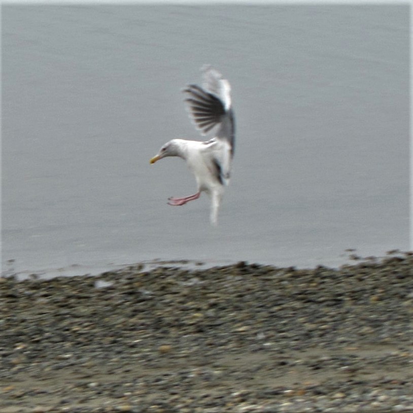 On final approach | Roadtirement