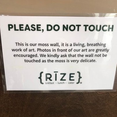 Brunch at RIZE Carmel | Roadtirement